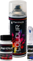 Car Touch Up Paint by Registration Number | PaintNuts