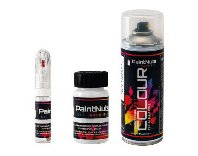 How to use PaintNuts car paints | PaintNuts